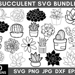 Succulent Svg Bundle, Succulent Clipart, Succulent Png, Houseplants Svg ...