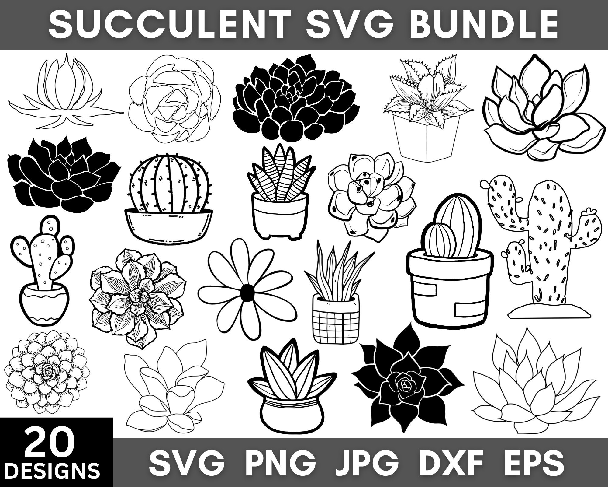 Succulent Svg Bundle, Succulent Clipart, Succulent Png, Houseplants Svg ...