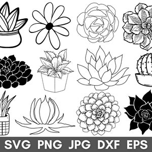 Succulent Svg Bundle, Succulent Clipart, Succulent Png, Houseplants Svg ...