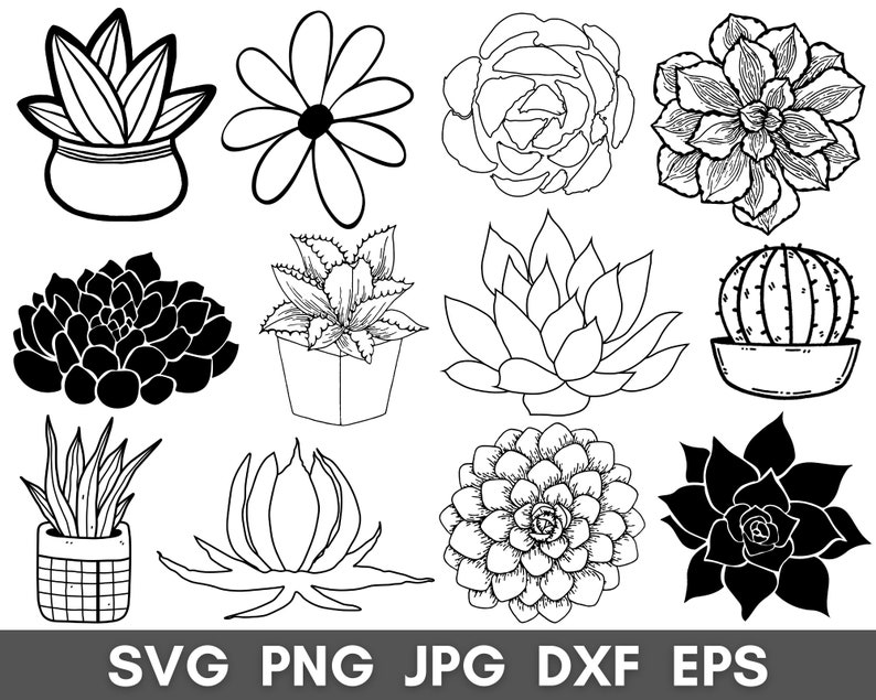 Succulent Svg Bundle, Succulent Clipart, Succulent Png, Houseplants Svg ...