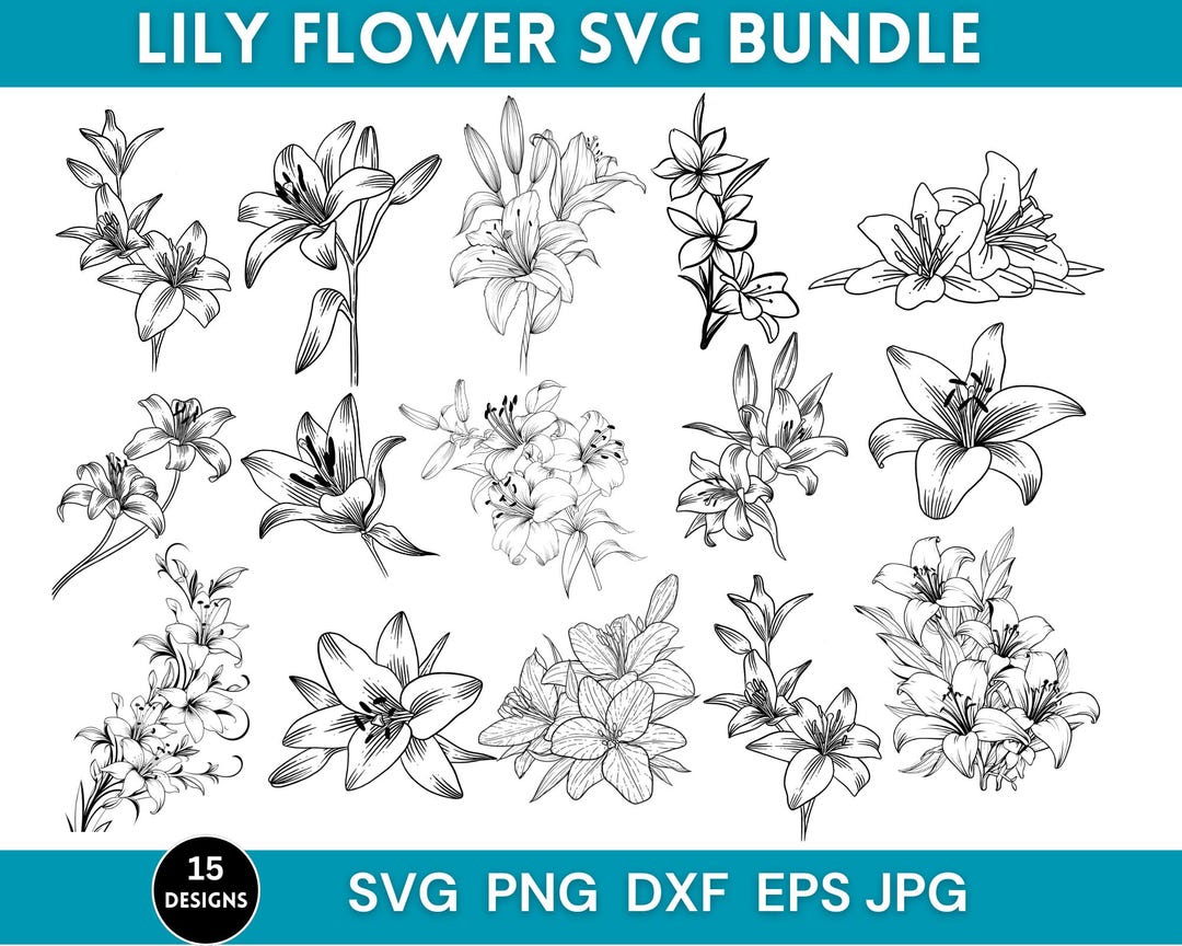 15 Lily Flowers Svg Bundle, Lily Flowers, Lily Flowers Png, Botanical ...