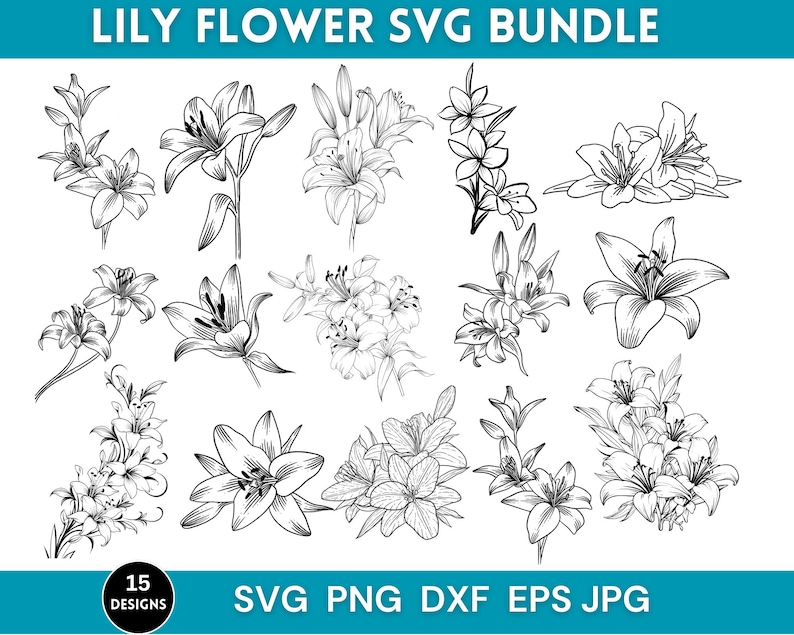 15 Lily Flowers Svg Bundle, Lily Flowers, Lily Flowers Png, Botanical ...