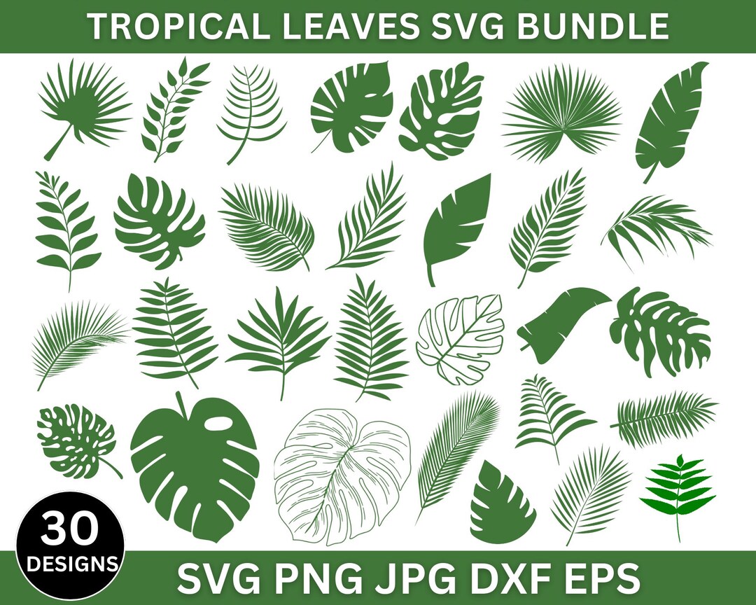 30+ Tropical Leaves Svg Bundle, Monstera Leaves Svg Bundle, Tropical ...