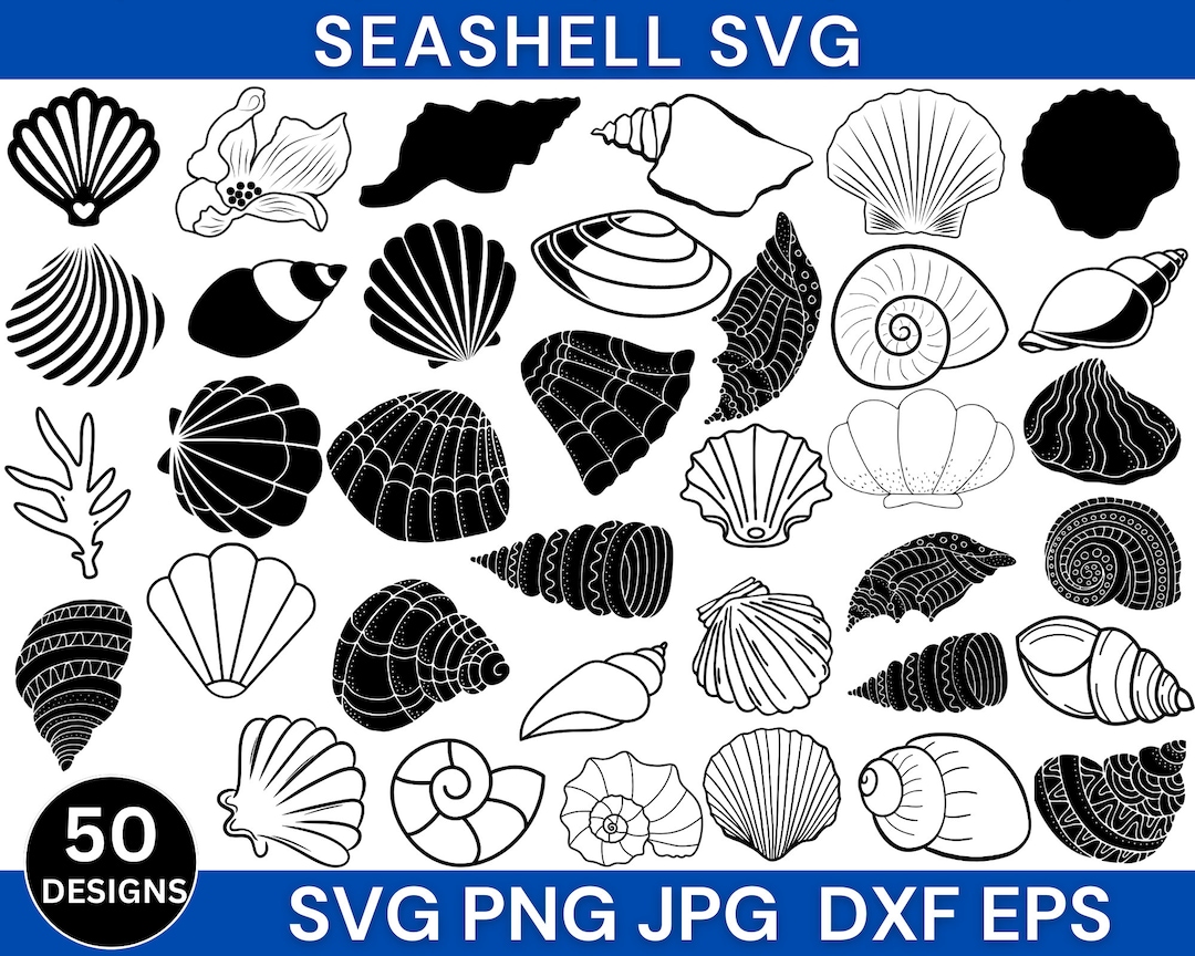 Seashell Svg Bundle, Seashell Png, Seashell Clipart, Seashells Svg ...