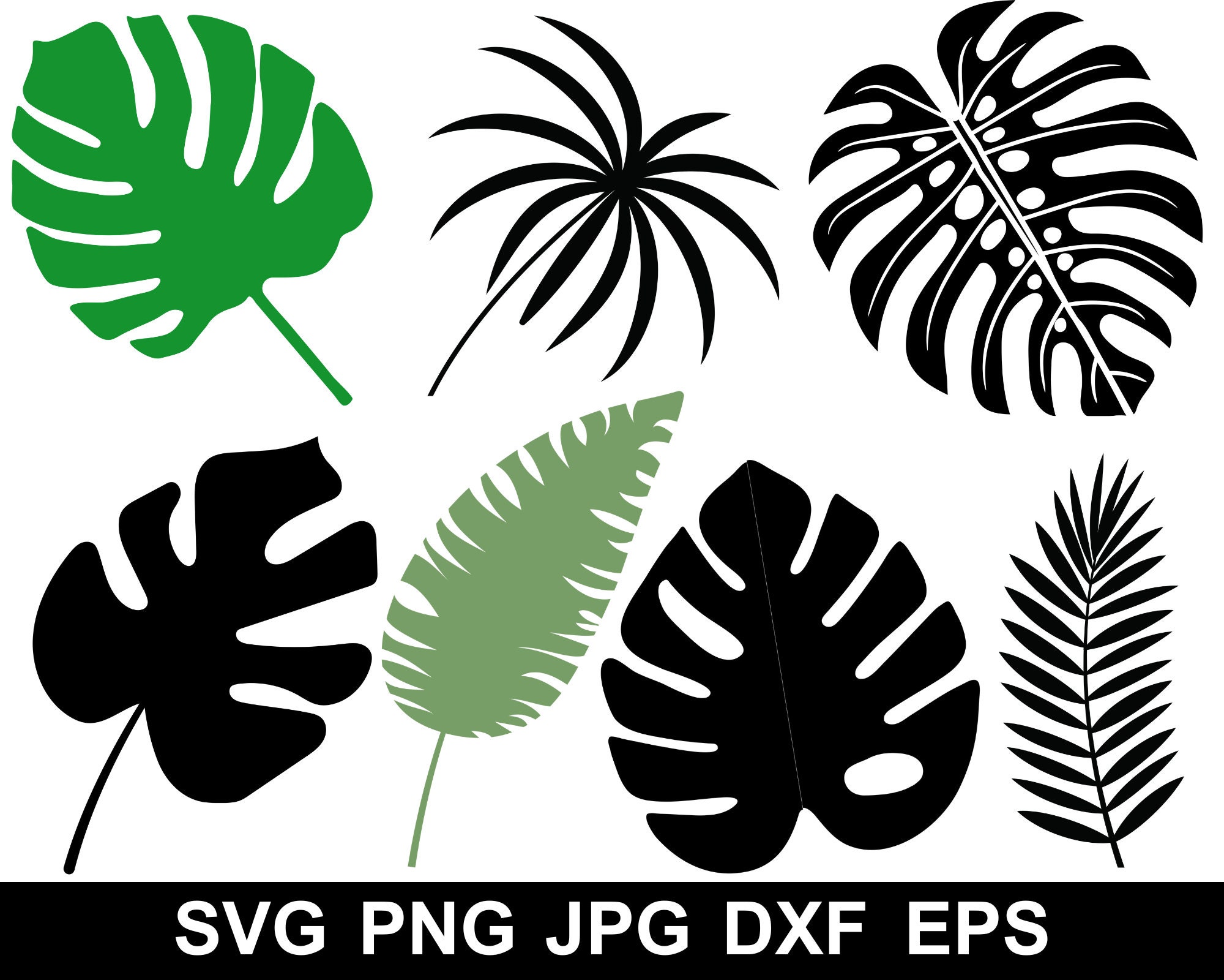 Monstera Leaf Svg Bundle Monstera Png Tropical Leaves Svg - Etsy