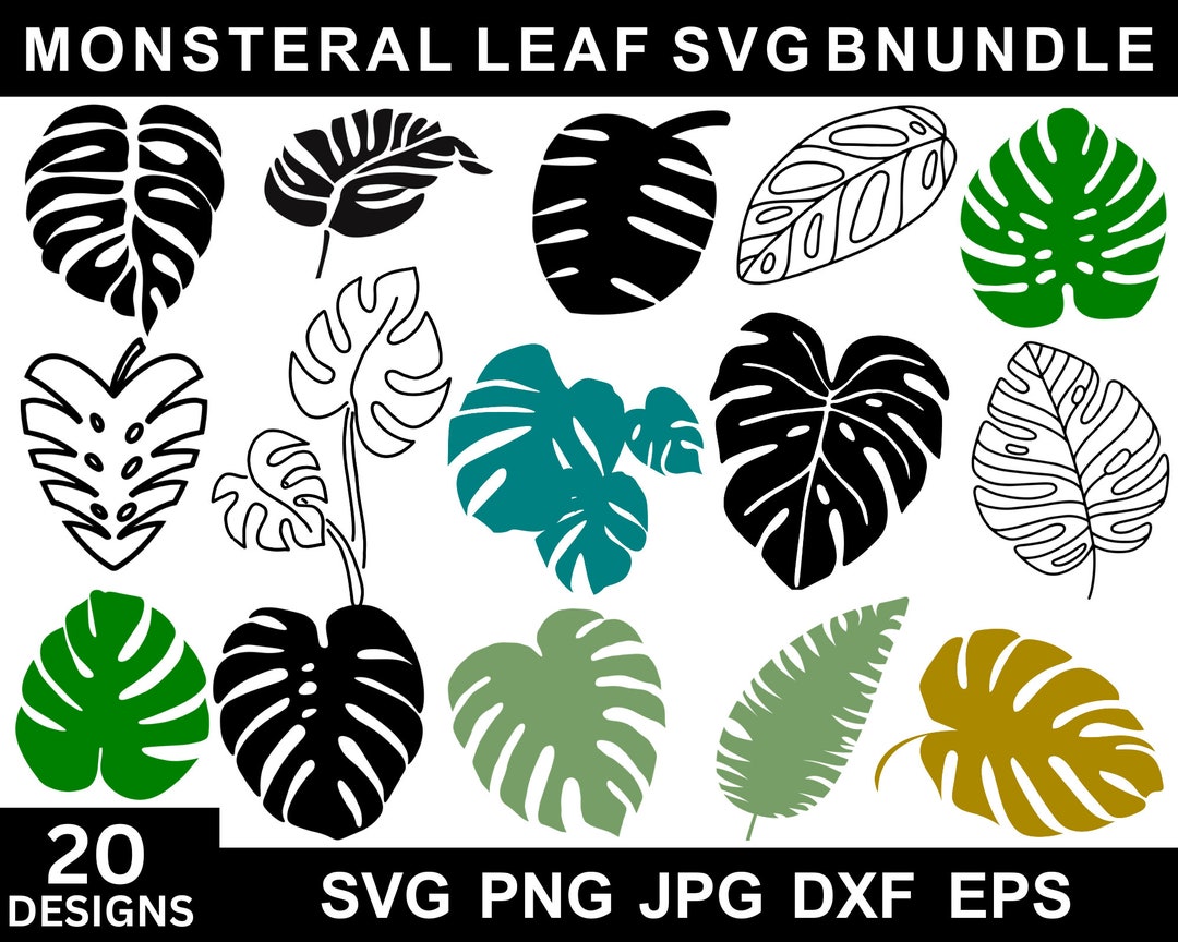 Monstera Leaf Svg Bundle, Monstera Png, Tropical Leaves Svg, Monstera ...