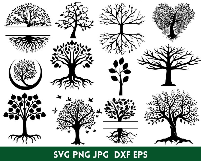 Paquete svg de árbol genealógico, árbol de la vida svg, rama de árbol ...