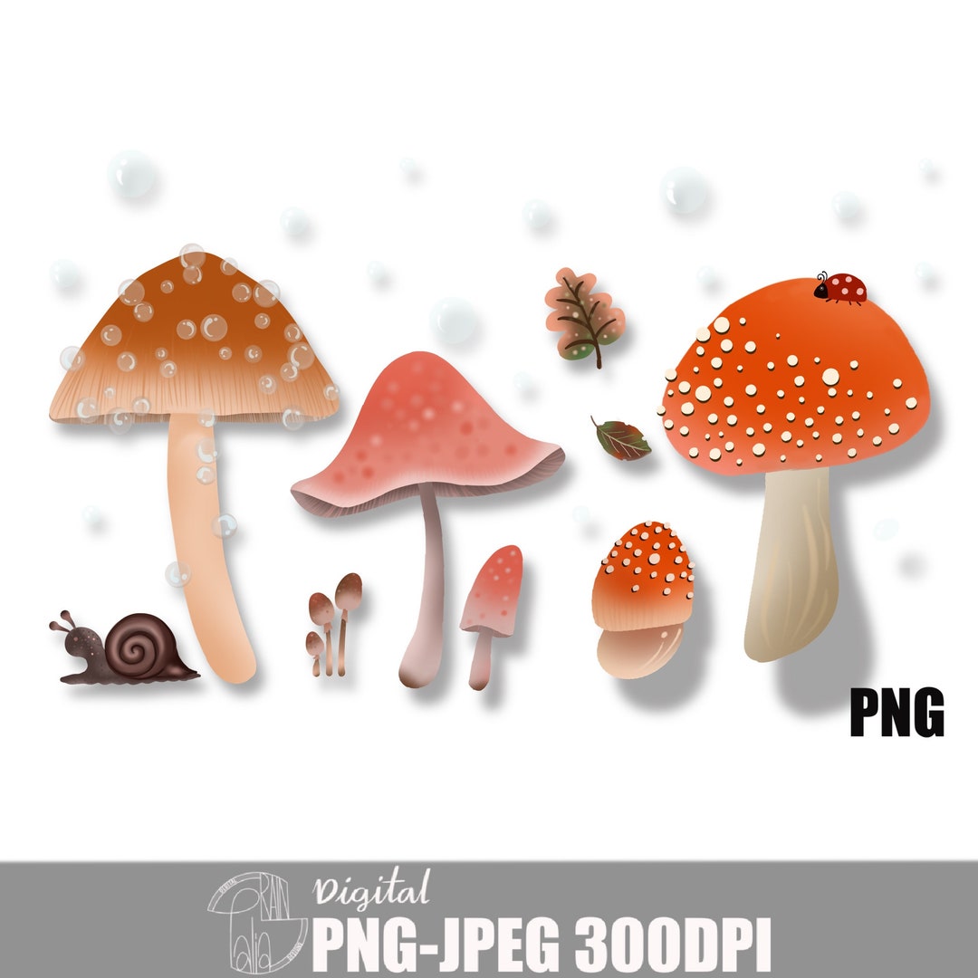 Fall Mushrooms Digital Print PNG Autumn Mushrooms Clipart for ...