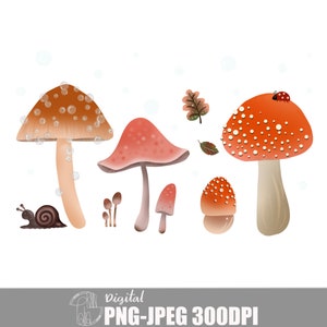Fall Mushrooms Digital Print PNG Autumn Mushrooms Clipart for ...