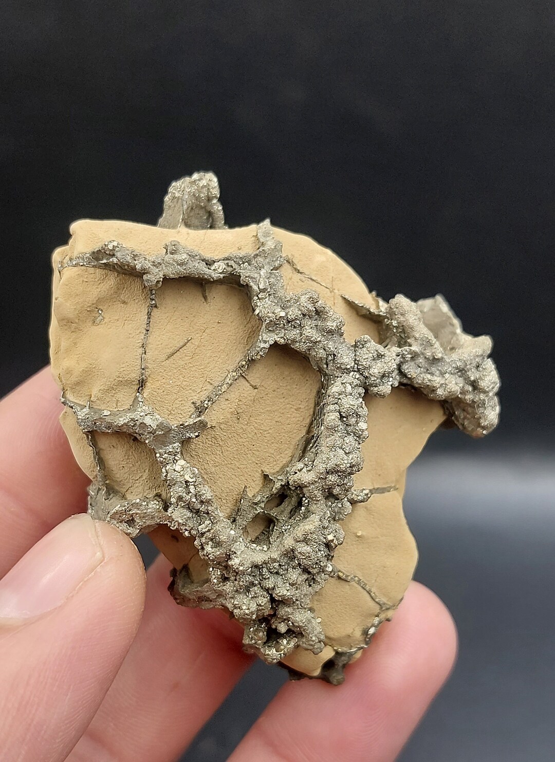 Unique Shape Pyrite Specimen - Natural Pyrite Specimen, Decoration ...