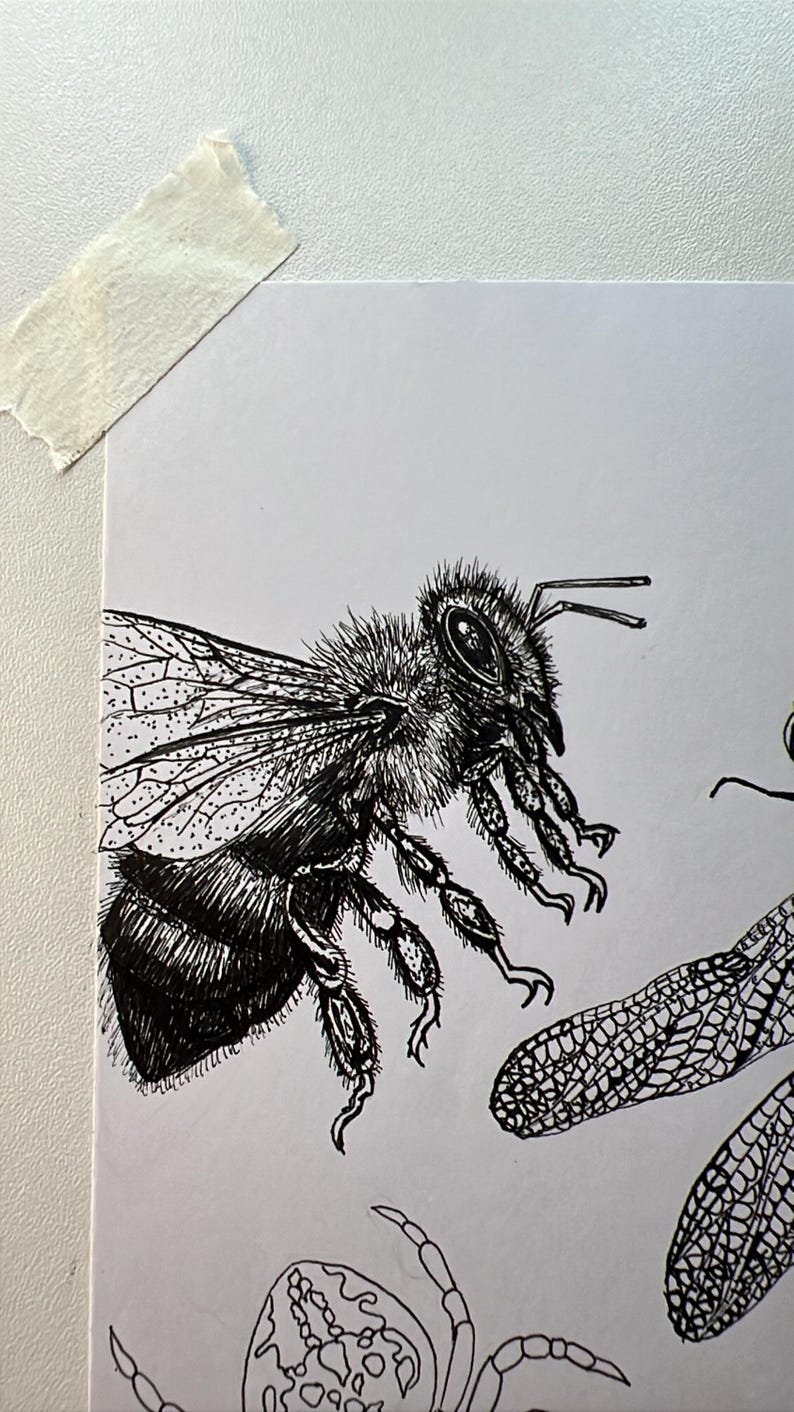 Forest Insects –original Hand-drawn Pen & Ink Artwork. - Etsy
