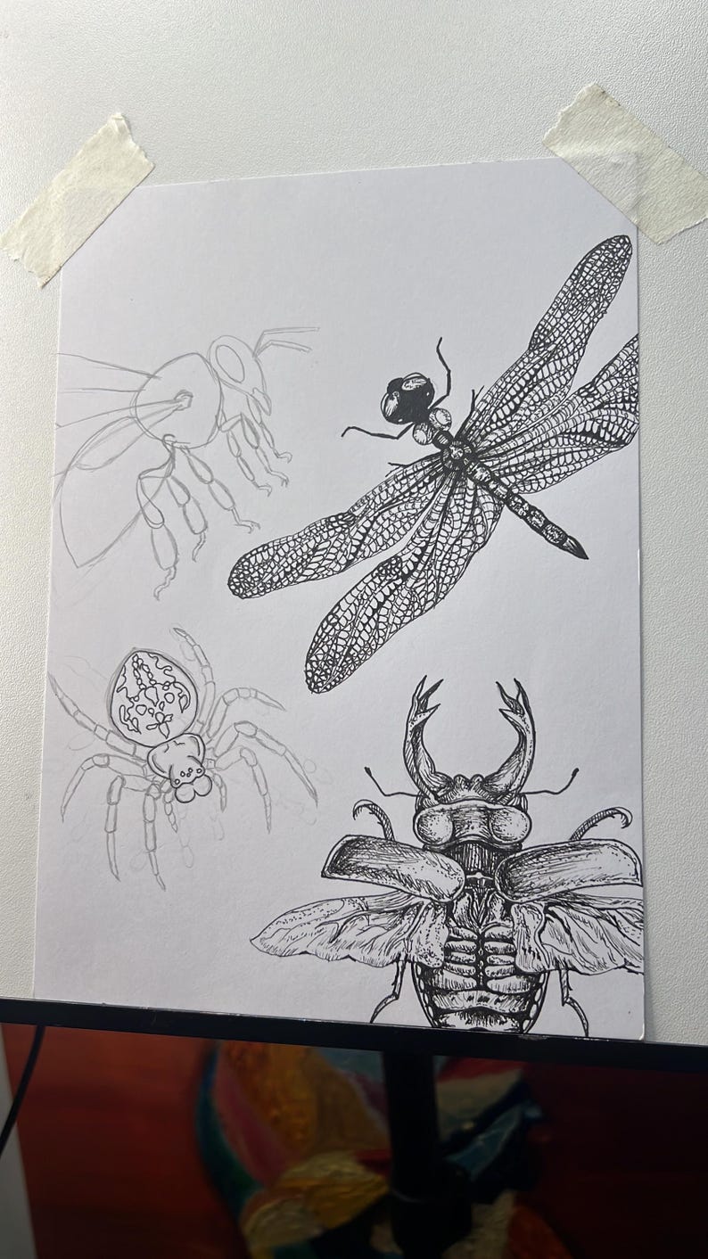 Forest Insects –original Hand-drawn Pen & Ink Artwork. - Etsy