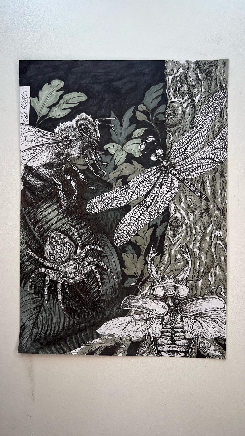 Forest Insects –original Hand-drawn Pen & Ink Artwork. - Etsy