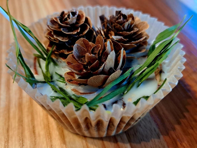 Fire Starters/outdoor Fireplace Fire Pit Gift/natural Wax Botanical ...