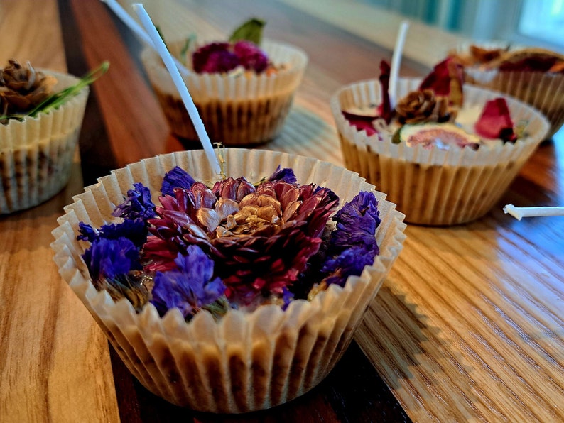 Fire Starters/outdoor Fireplace Fire Pit Gift/natural Wax Botanical ...