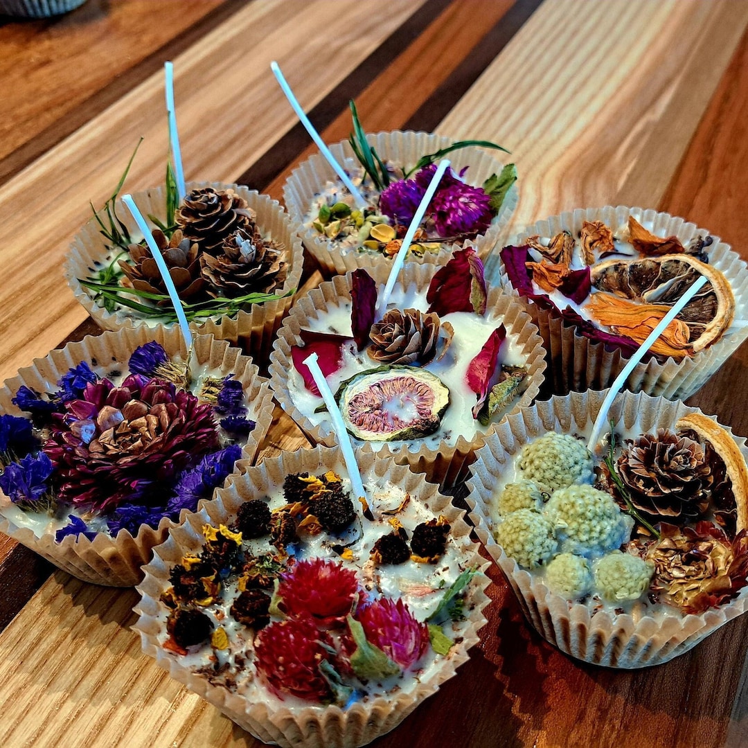 Fire Starters/outdoor Fireplace Fire Pit Gift/natural Wax Botanical ...