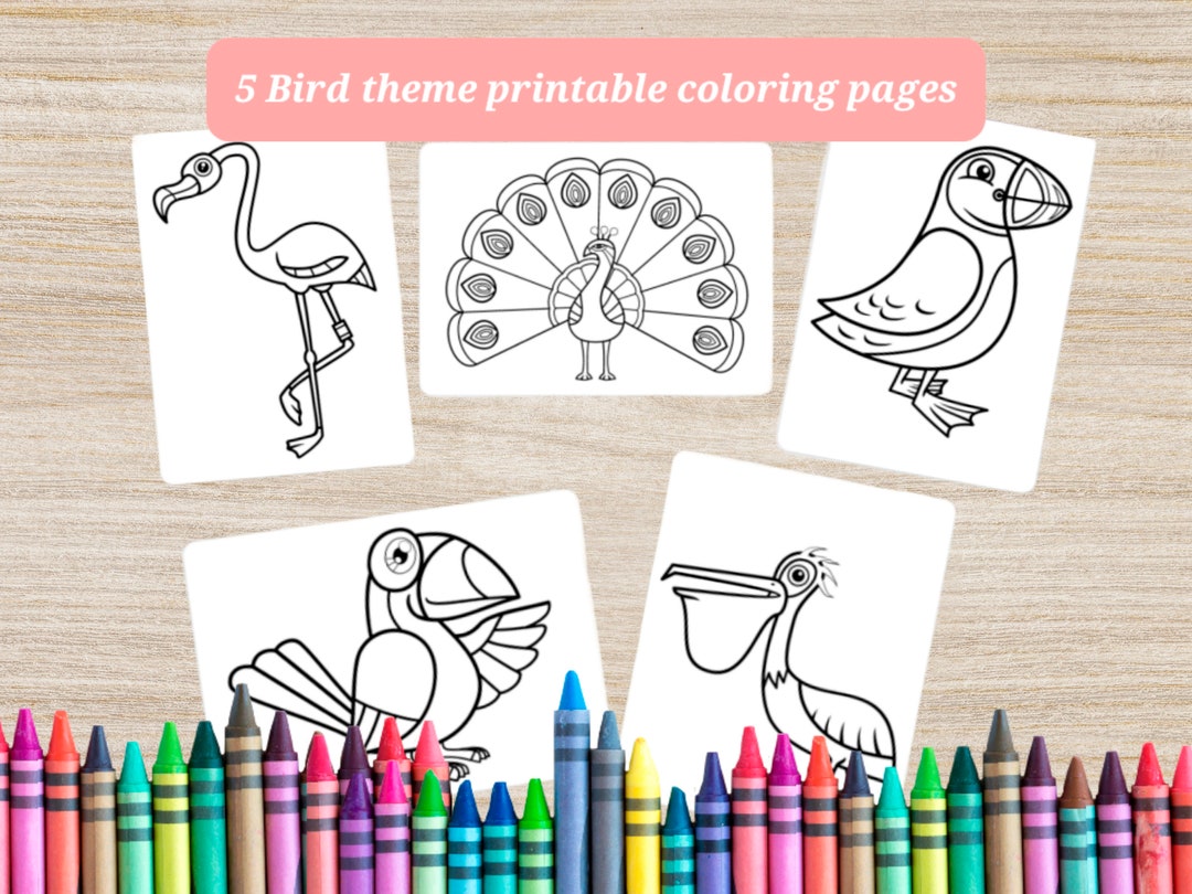 Kids Colouring Page | Bird Theme Coloring Pages | Toddler Activity ...