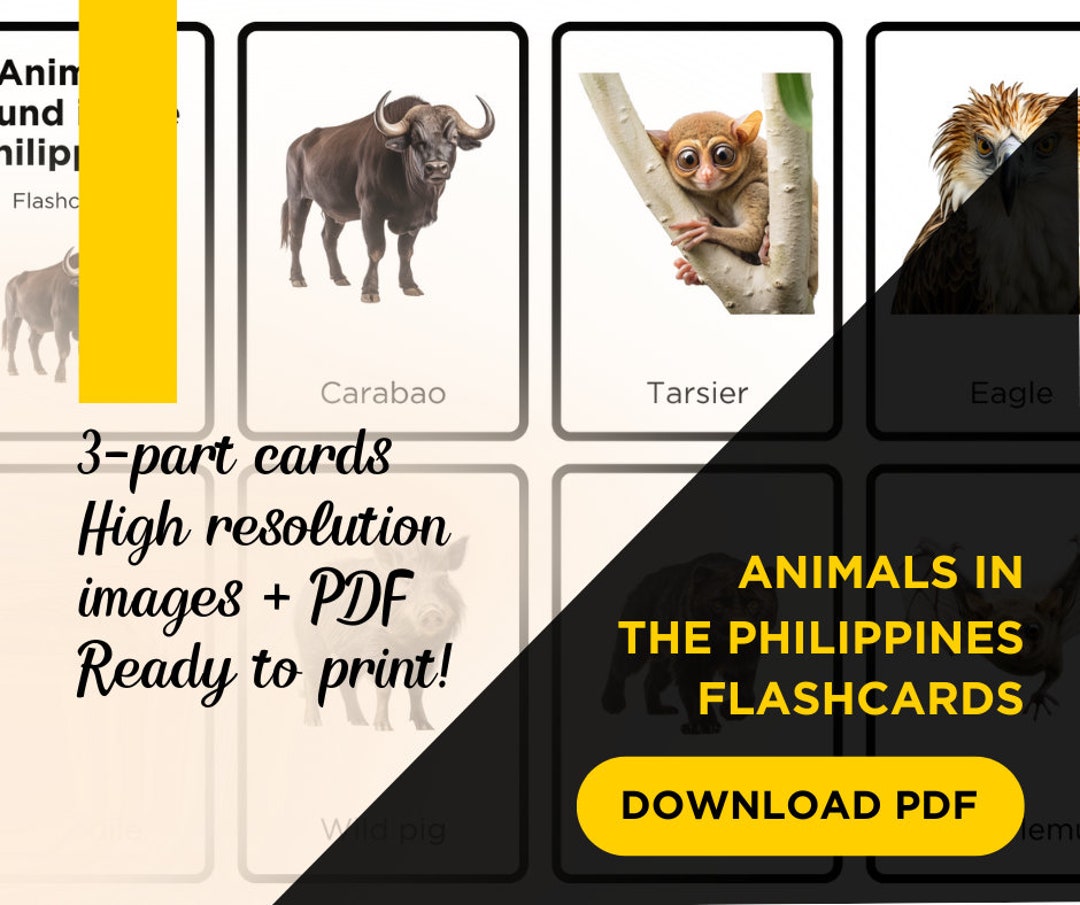 FILIPINO ANIMALS Flash Cards • Montessori Flash Cards • Pre-school ...