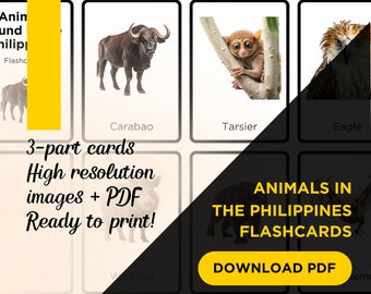 FILIPINO ALPHABET Flash Cards • Montessori Flash Cards • Pre-school ...