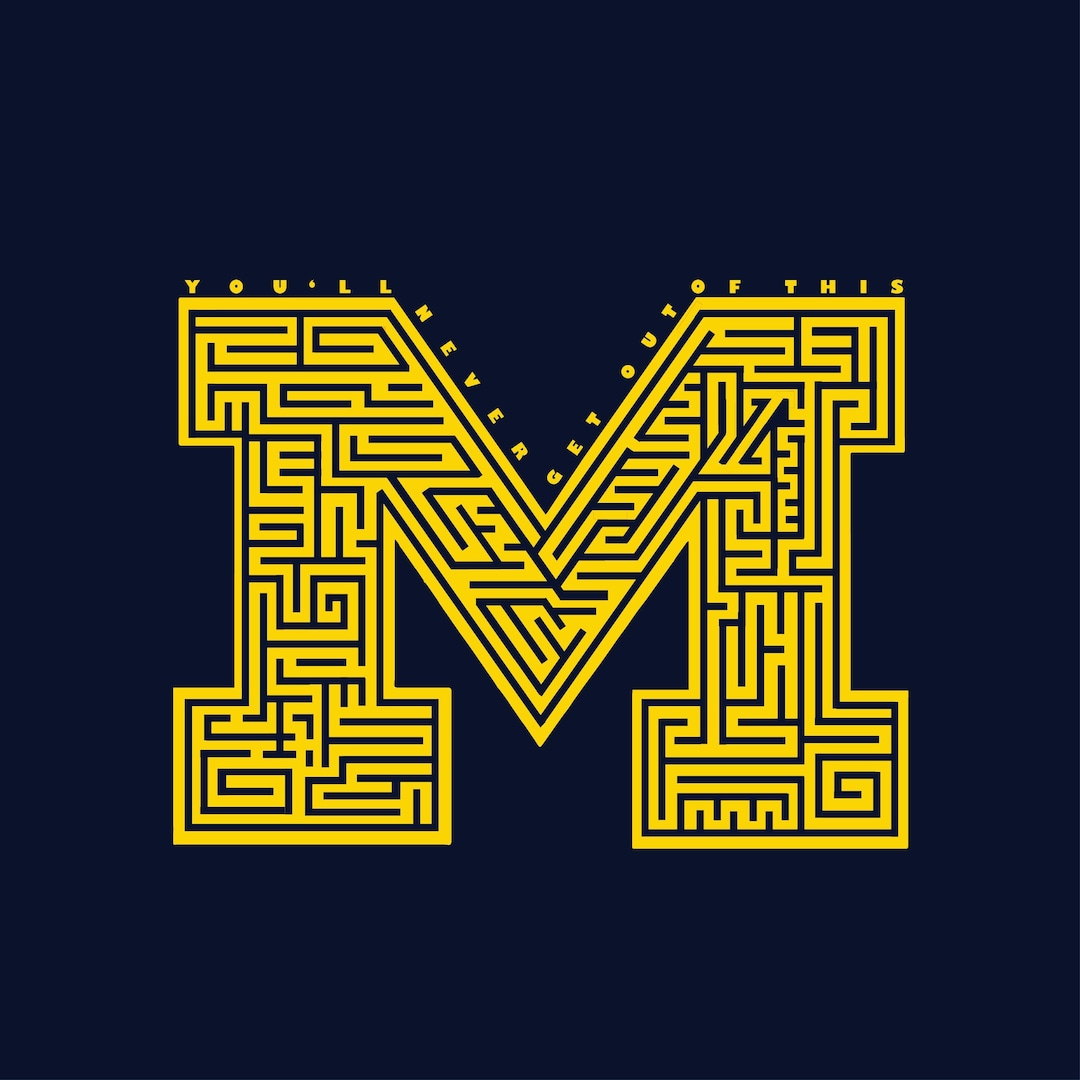 Maze and Blue Phish Lot T-shirt/hoodie/crew SS. You'll Never Get Out of ...