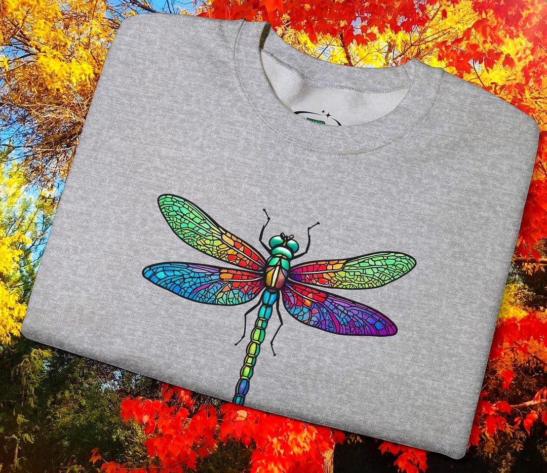 Rainbow Dragonfly Aesthetic Sweatshirt | Nature Clothing | Mystical ...