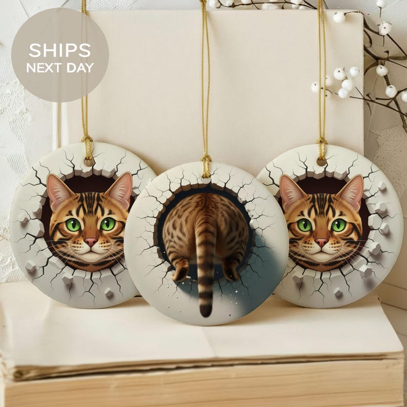 Dual Sided 3D Effect Cat Ornament, Funny Christmas Decor, Unique ...