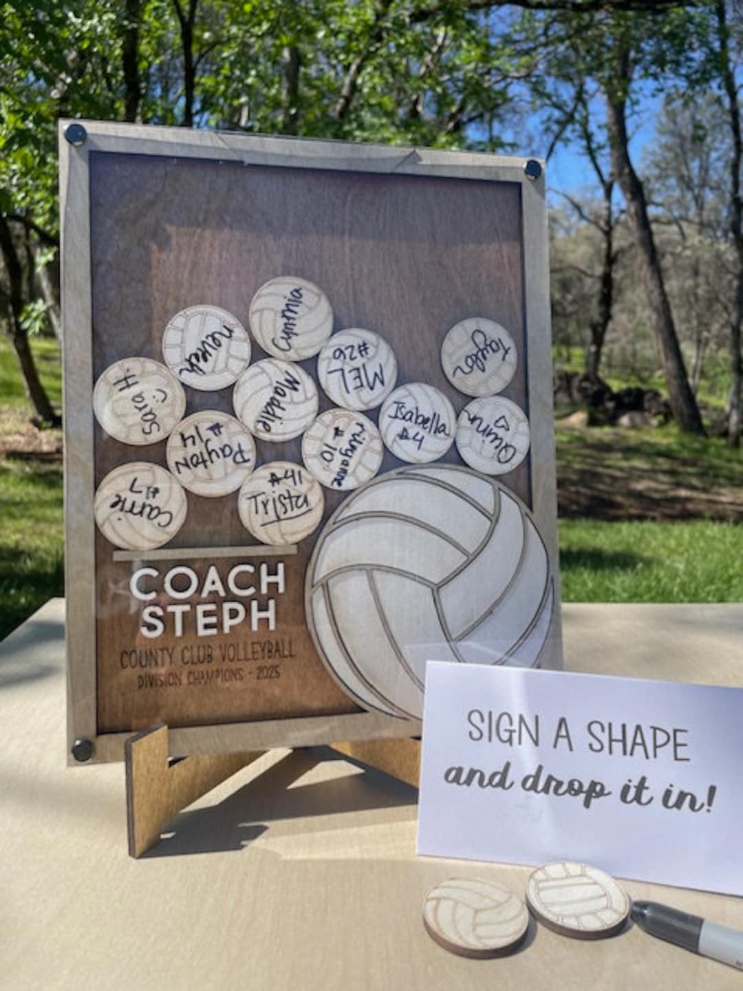 Custom 3D Volleyball Coach Thank You Gift Plaque, Coach Appreciation ...