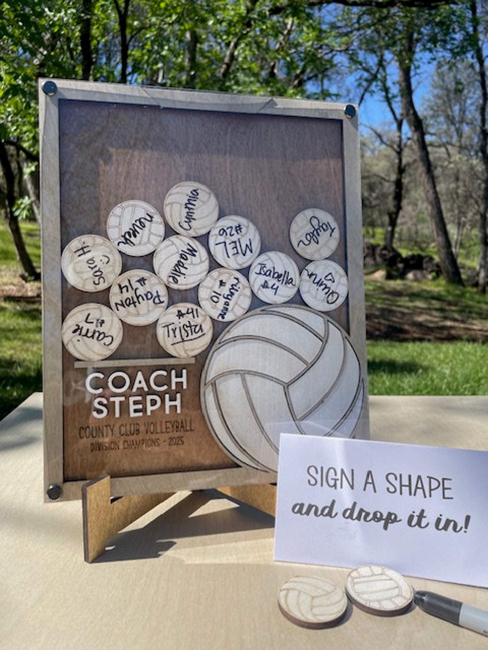 Custom 3D Volleyball Coach Thank You Gift Plaque, Coach Appreciation ...