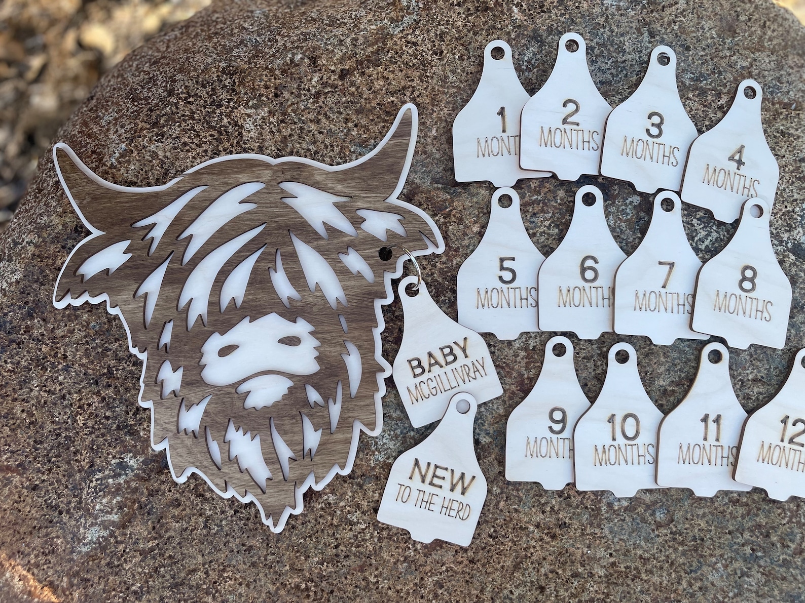 Highland Cow Baby Milestone Markers, New to the Herd Baby Stats Tags ...