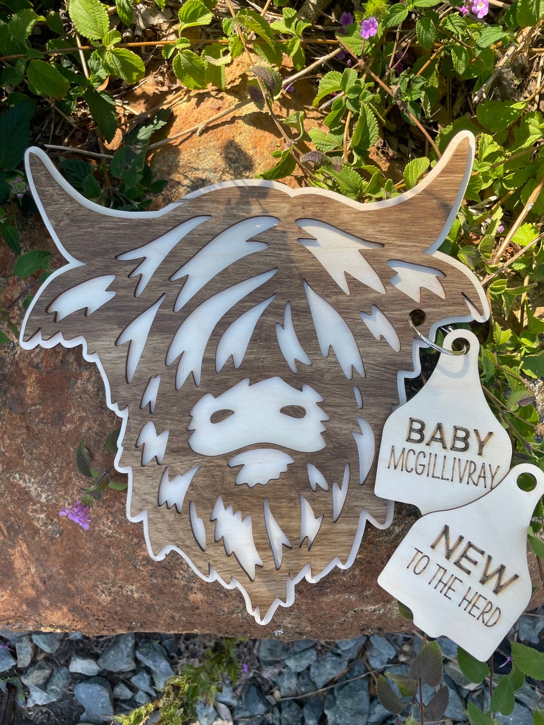 Highland Cow Baby Milestone Markers, New to the Herd Baby Stats Tags ...