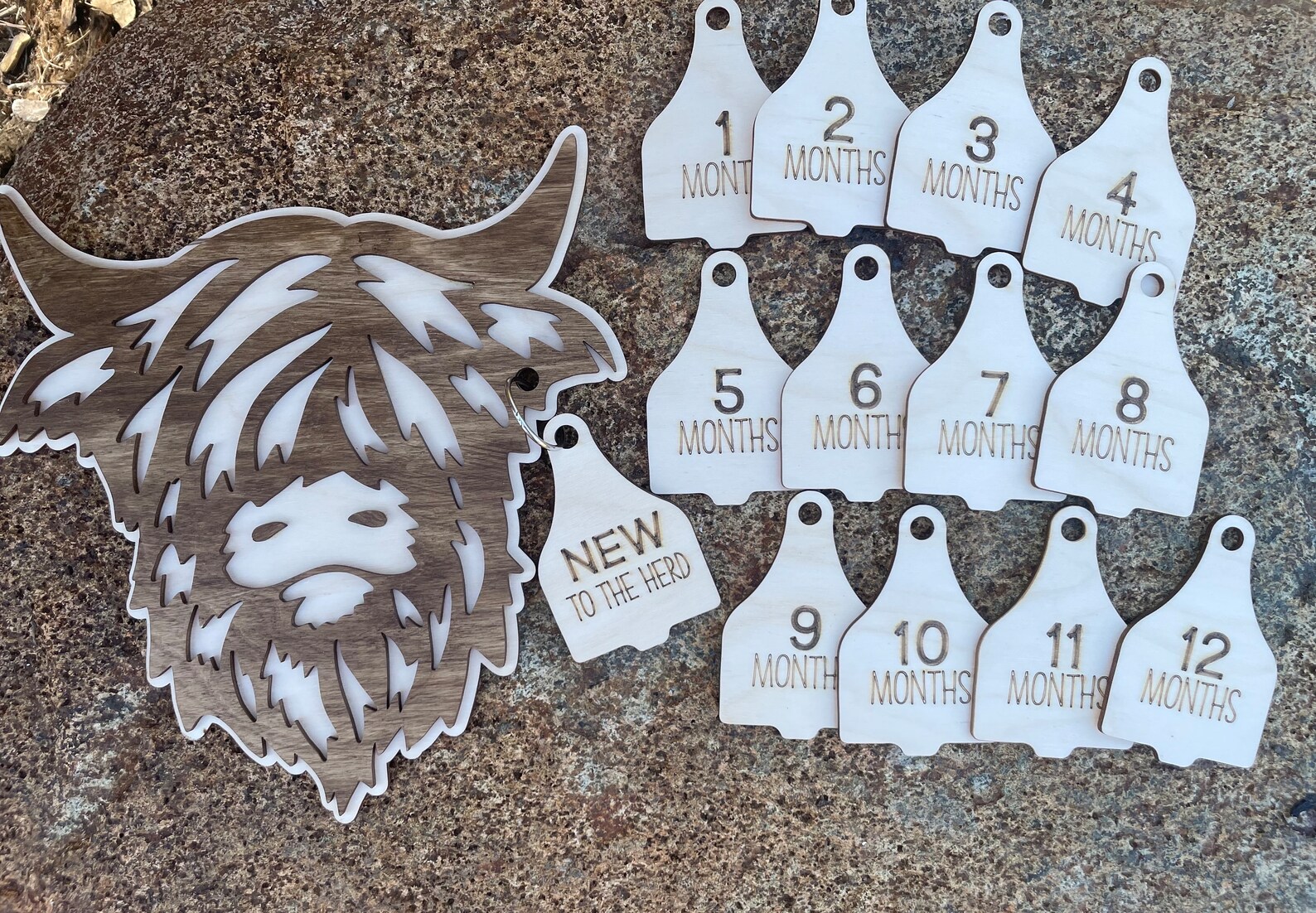 Highland Cow Baby Milestone Markers, New to the Herd Baby Stats Tags ...