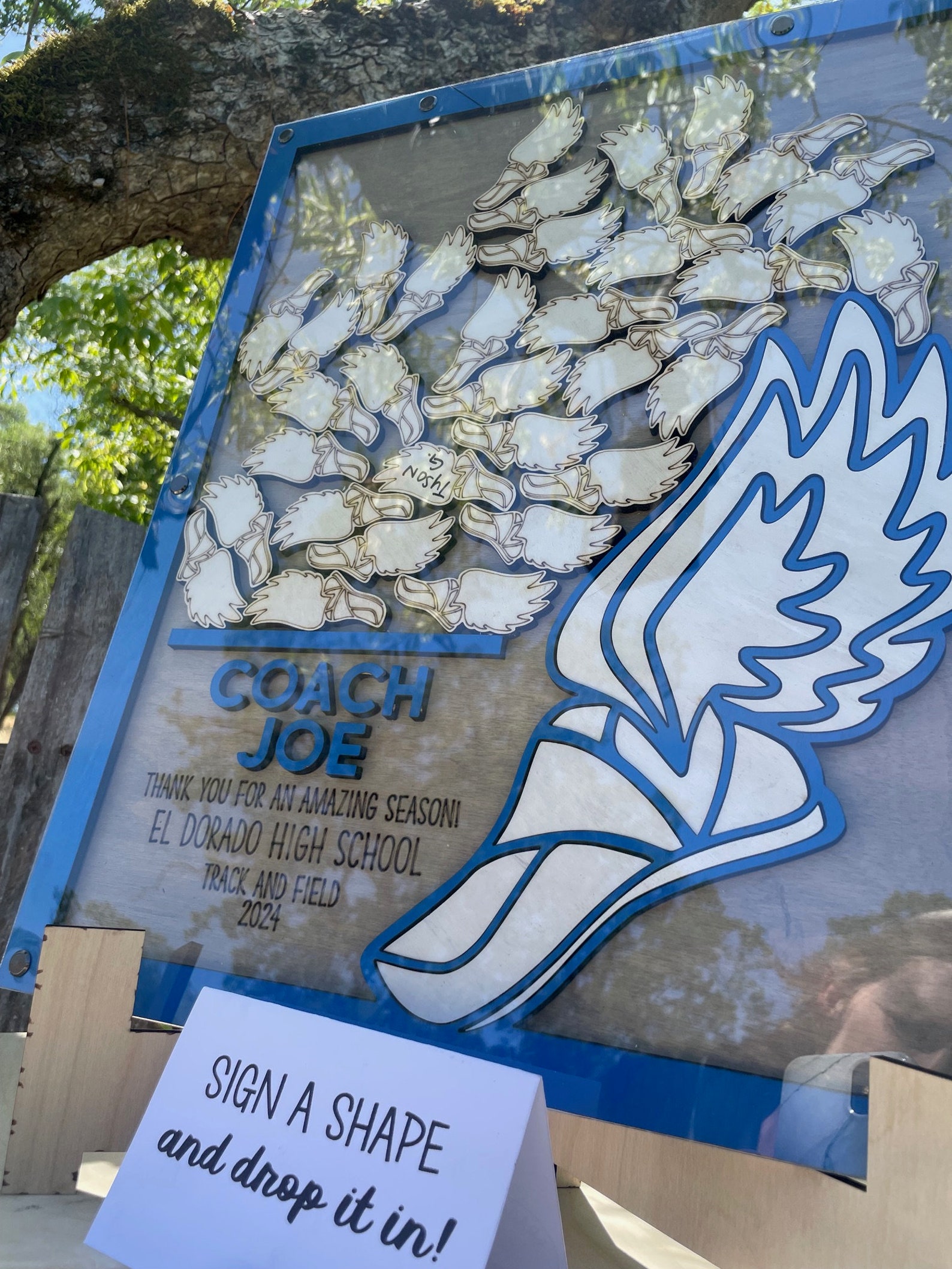 Custom 3D Track and Field Thank You Gift Plaque, Track and Field Coach ...