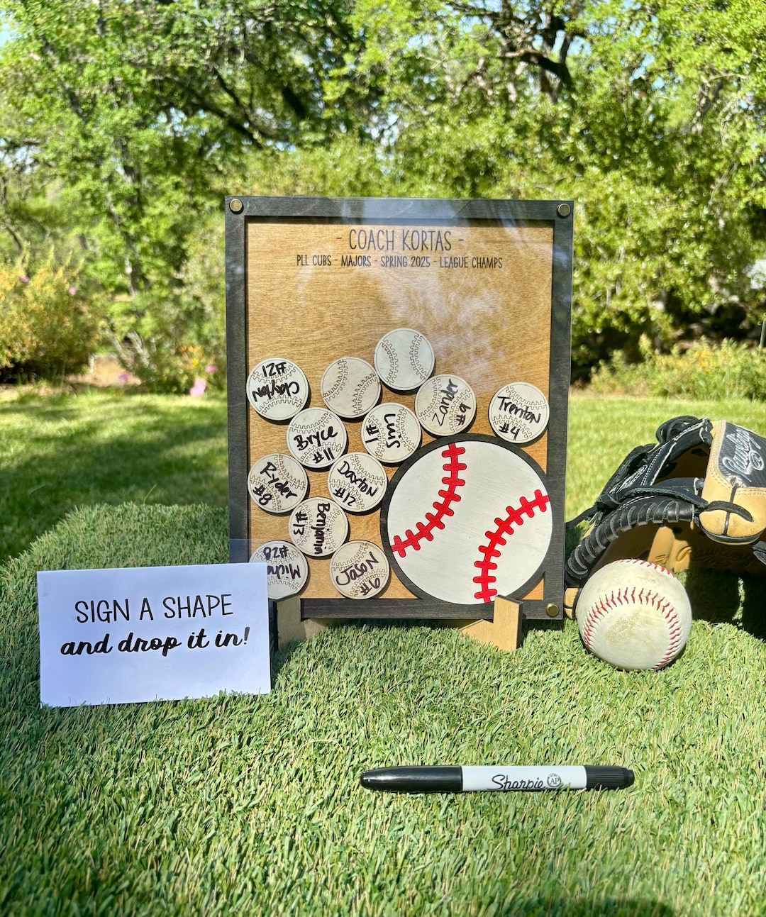 Home Run Tracker, Baseball Big Plays Season Keepsake Frame, Game Ball ...