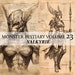 13 Page Monster Bestiary Chapter 23, Monster Encyclopedia Vol 23, 7 JPG Valkyrie Bestiary ...