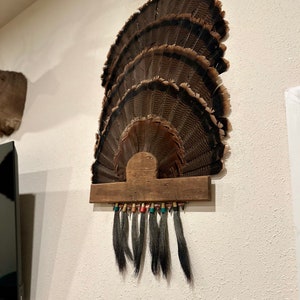 Multi Beard Turkey Fan Display - Etsy