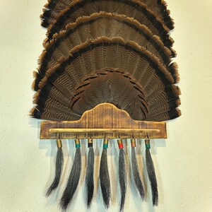 Multi Beard Turkey Fan Display WITH SHELF - Etsy