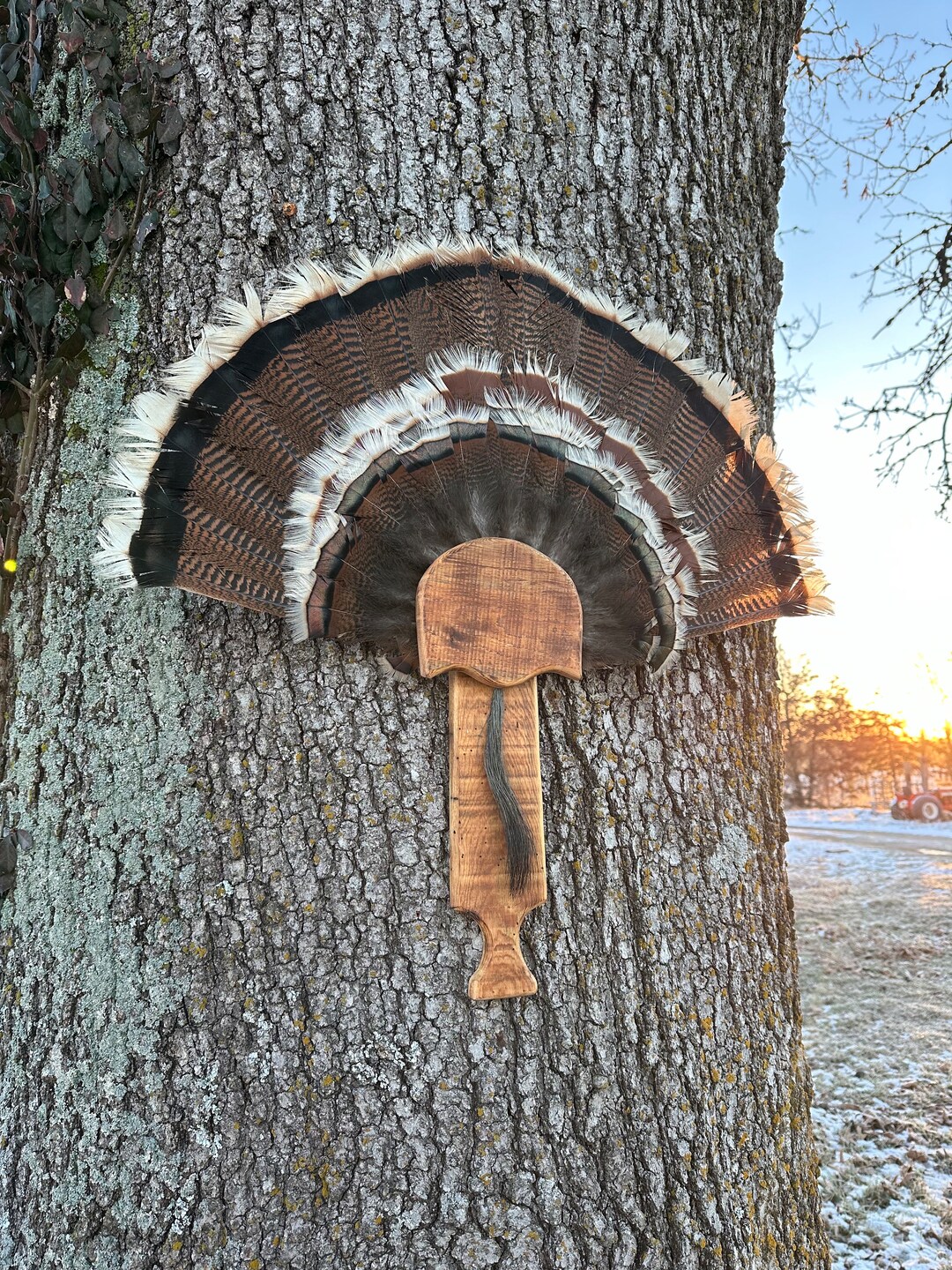 Box Call Turkey Fan Mount - Etsy