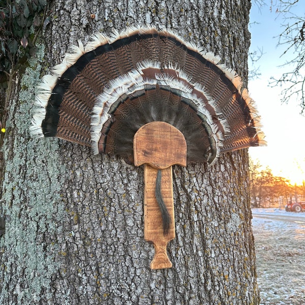 Turkey Fan Mount - Etsy