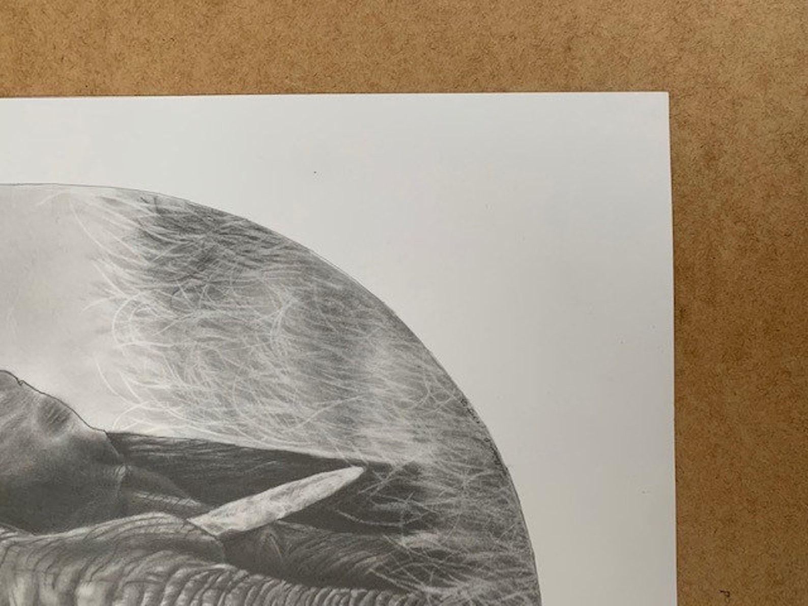 Elephant Pencil Drawing Card Wall Art Home Decor One of a Kind Animal ...