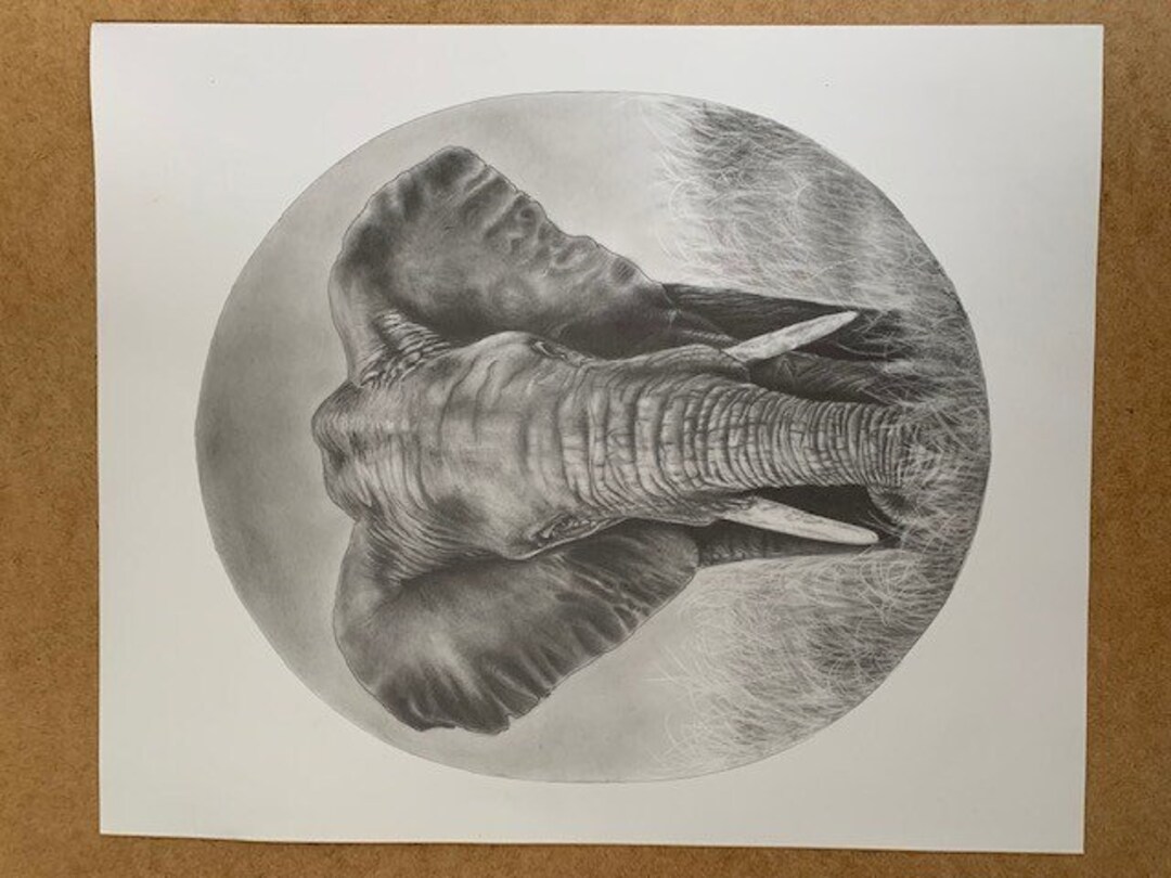 Elephant Pencil Drawing Card Wall Art Home Decor One of a Kind Animal ...