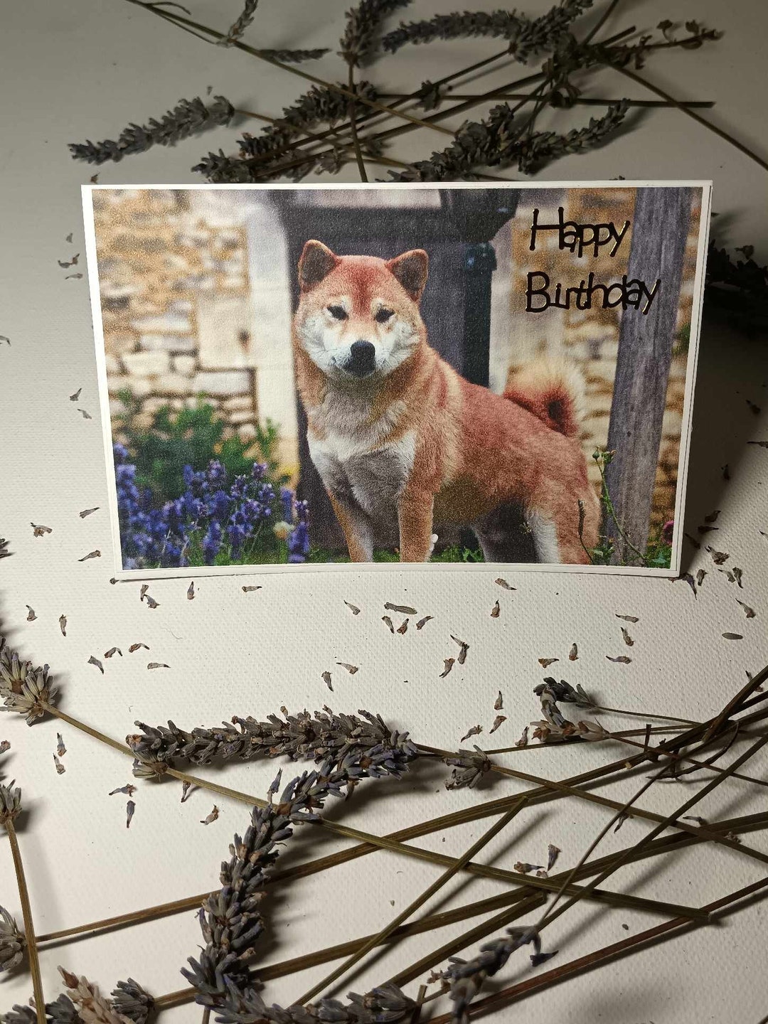 Shiba Inu Geburtstagskarte Shiro im Lavendel - Etsy.de