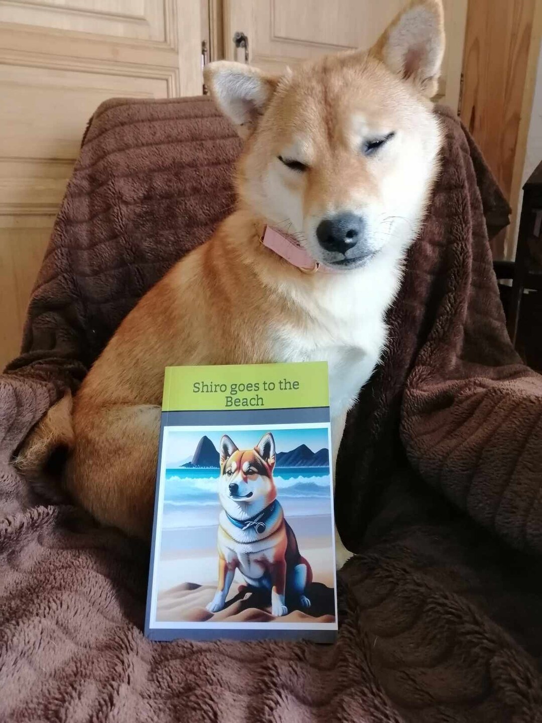 The Adventures of Shiro the Shiba Inu Shiro Goes to the Beach - Etsy