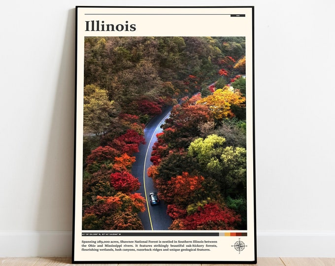 Illinois Poster, State Design Illinois Print / Picture / Hand Drawn Art ...