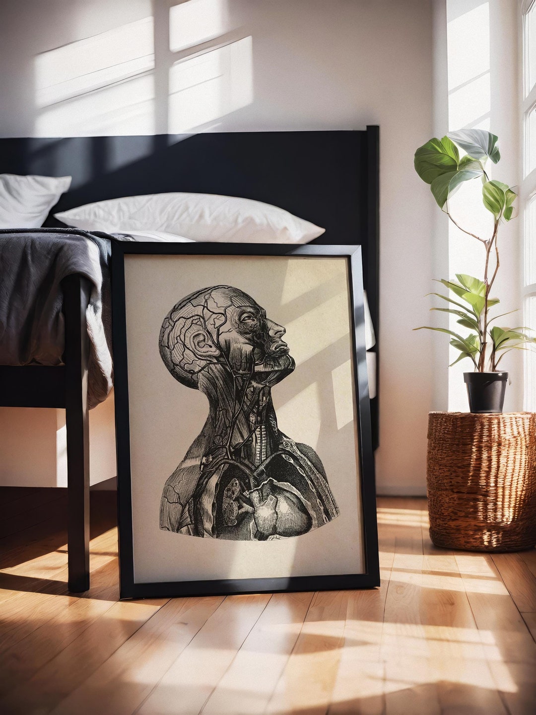 Anatomy Print / Human Anatomy Posters / Anatomy Home Decor / Anatomy ...