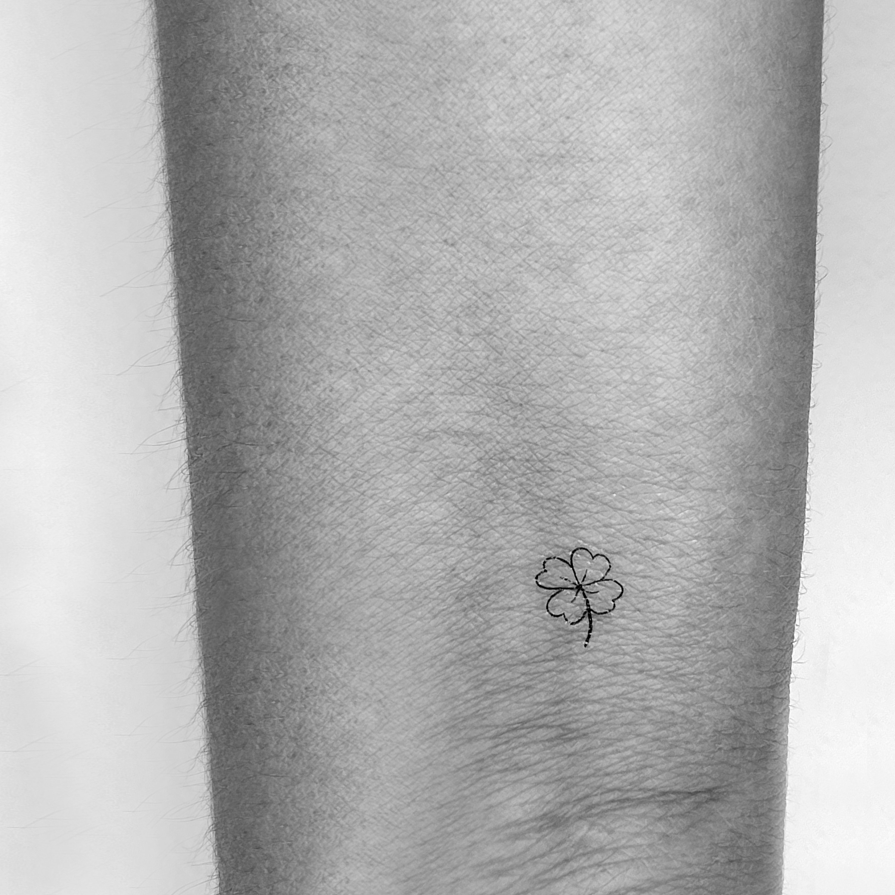 Clover Tattoo