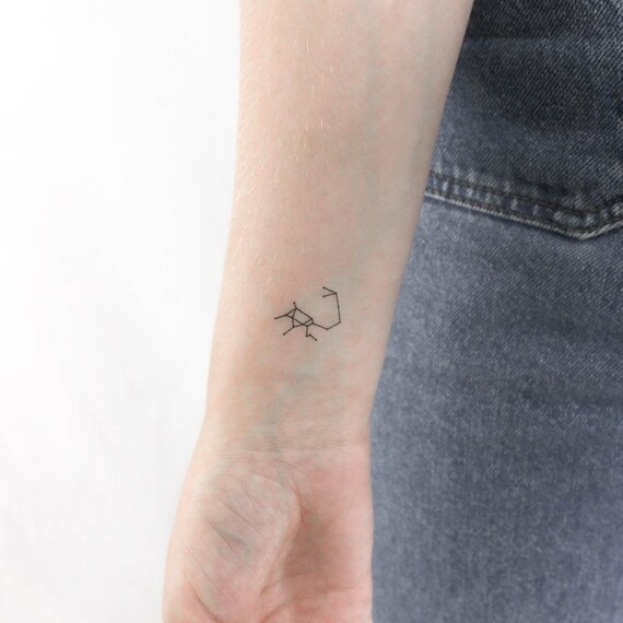 Boogschutter Sterrenbeeld Tatoeages Inkster Tattoo Sterrenbeeld