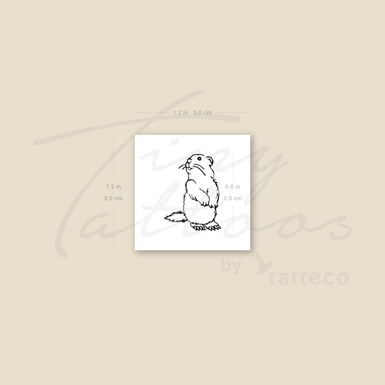 Marmot Temporary Tattoo (set of 3) - Etsy