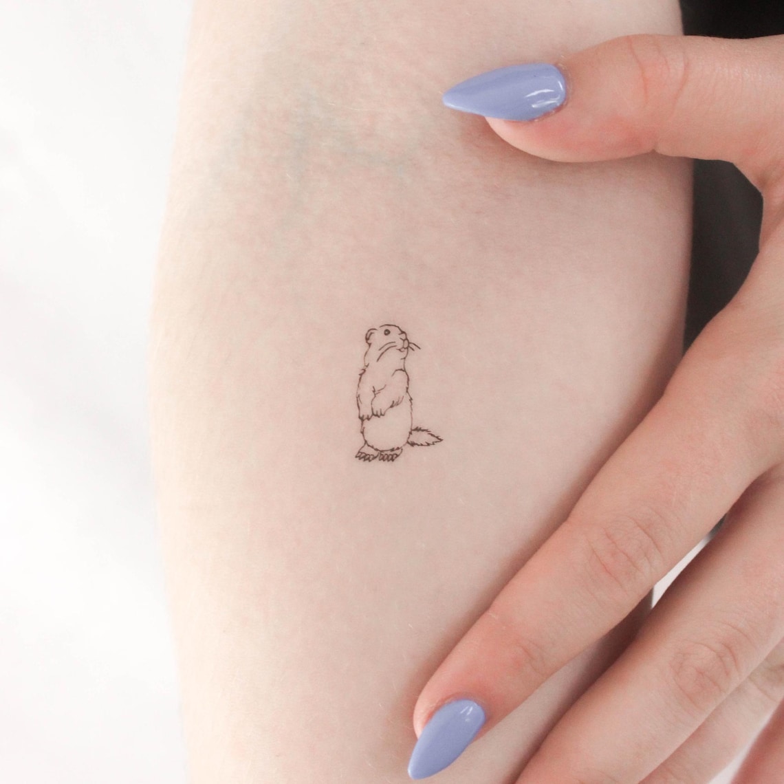 Marmot Temporary Tattoo (set of 3) - Etsy
