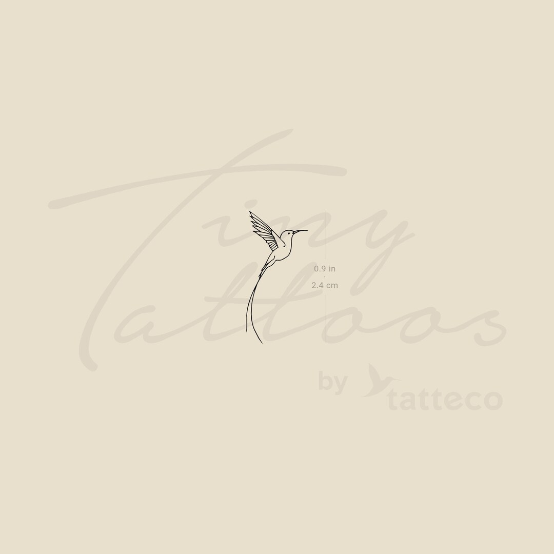 Little Long-tailed Sylph Hummingbird Temporary Tattoo set of 3 - Etsy