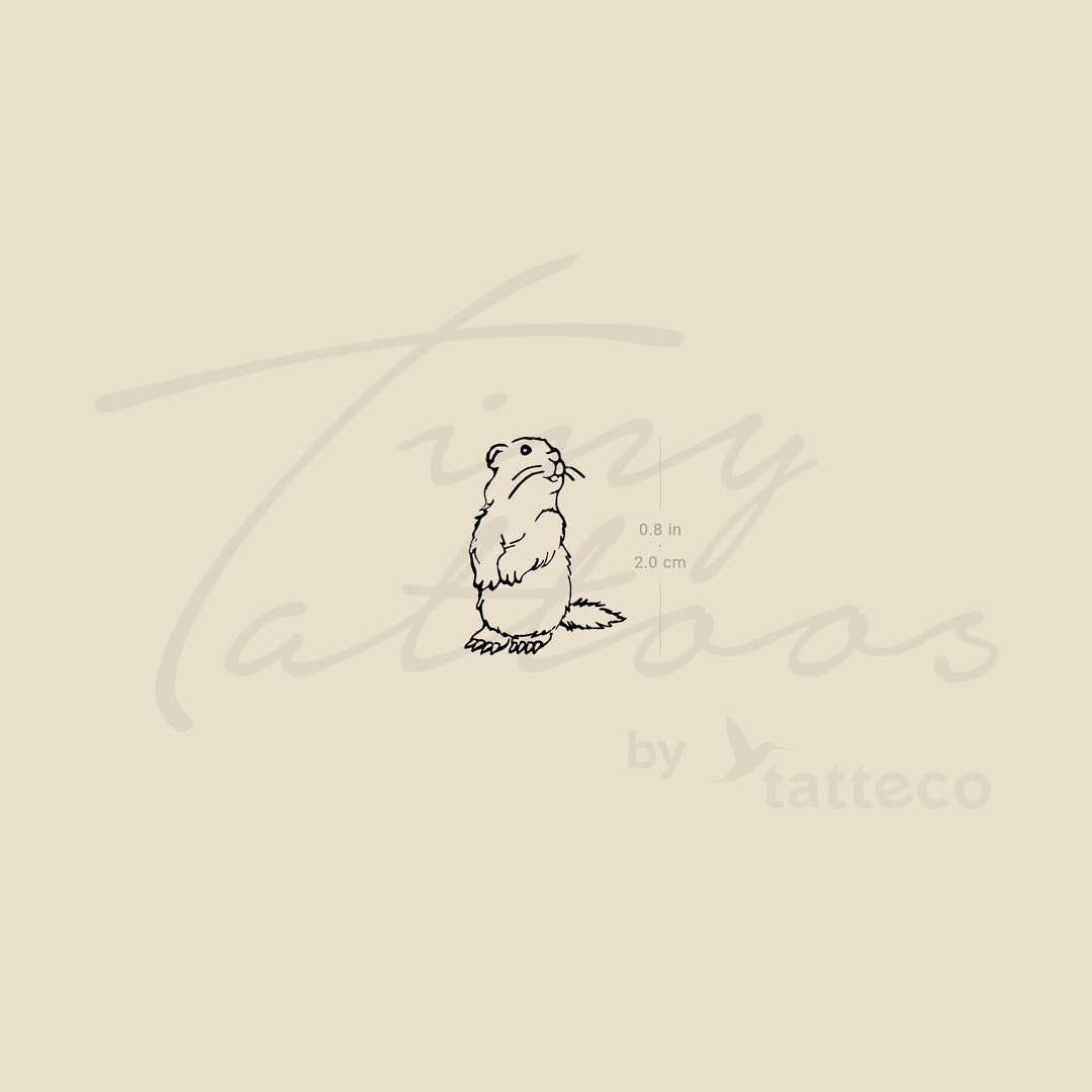 Marmot Temporary Tattoo set of 3 - Etsy
